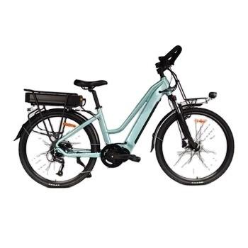 China 26 Inch Mid Drive Electric Bike 250W 48V 11Ah Hydraulic Disc Brake Adult Ebike for sale