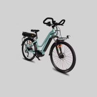 China 26 Inch Mid Drive Electric Bike 250W 48V 11Ah Hydraulic Disc Brake Adult Ebike for sale