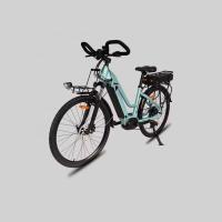China 26 Inch Mid Drive Electric Bike 250W 48V 11Ah Hydraulic Disc Brake Adult Ebike for sale