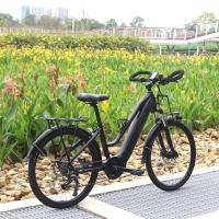 China 26 Inch Mid Drive Electric Bike 250W 48V 11Ah Hydraulic Disc Brake Adult Ebike for sale