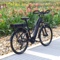 China 26 Inch Mid Drive Electric Bike 250W 48V 11Ah Hydraulic Disc Brake Adult Ebike for sale