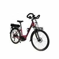 China 48V 20.4Ah 700C Mid Drive Electric Bike with Hydraulic Disc Brake and Lithium Battery for sale