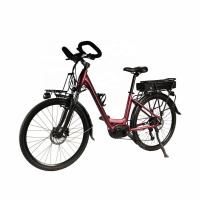 China 48V 20.4Ah 700C Mid Drive Electric Bike with Hydraulic Disc Brake and Lithium Battery for sale