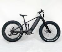 China 48V 1000W Bafang Mid Drive Electric Mountain Bike 26 Inch Fat Tire Full Suspension Ebike for sale