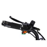 China Full Suspension Electric Moped Scooter 48V 500W 18 Inch Vacuum Tire 130kg Load for sale