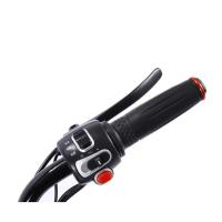 China Full Suspension Electric Moped Scooter 48V 500W 18 Inch Vacuum Tire 130kg Load for sale