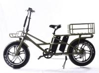 China 48V 500W Electric Cargo Bike 20x4.0 Fat Tires Long Range 100km Dual Battery LCD Display for sale
