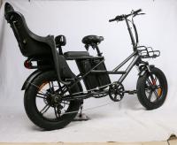 China 500W Electric Cargo Bicycle Dual 13Ah Lithium Battery 20 Inch Fat Tire Ebike for sale