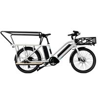 China 20 Inch Wheel Disc Brake Cargo E Bike 48V 500W 14.5Ah 21Ah 24.5Ah Lithium Battery for sale