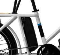 China 20 Inch Wheel Disc Brake Cargo E Bike 48V 500W 14.5Ah 21Ah 24.5Ah Lithium Battery for sale