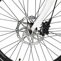China 20 Inch Wheel Disc Brake Cargo E Bike 48V 500W 14.5Ah 21Ah 24.5Ah Lithium Battery for sale