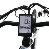 China 20 Inch Wheel Disc Brake Cargo E Bike 48V 500W 14.5Ah 21Ah 24.5Ah Lithium Battery for sale