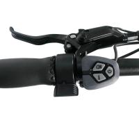China 20 Inch Wheel Disc Brake Cargo E Bike 48V 500W 14.5Ah 21Ah 24.5Ah Lithium Battery for sale
