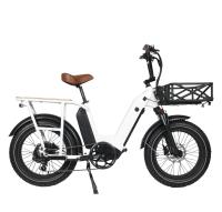 China Aluminum Alloy Electric Cargo Bike 48V 750W Ebike with Front Suspension Dual Battery 20 Inch for sale