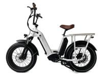 China Aluminum Alloy Electric Cargo Bike 48V 750W Ebike with Front Suspension Dual Battery 20 Inch for sale