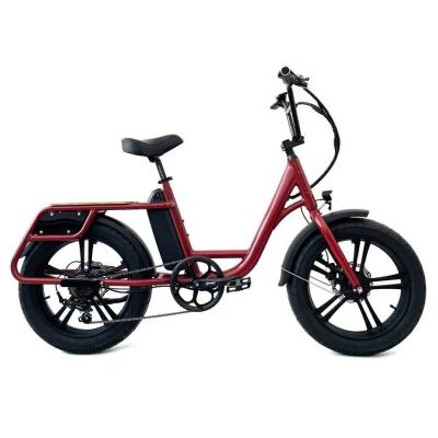 China 24 Inch Fat Tire Electric Cargo Bike 48V 500W Rear Hub Motor 7 Speed for sale