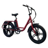 China 24 Inch Fat Tire Electric Cargo Bike 48V 500W Rear Hub Motor 7 Speed for sale