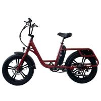 China 24 Inch Fat Tire Electric Cargo Bike 48V 500W Rear Hub Motor 7 Speed for sale