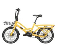 China 20 Inch Retro Dual 250W Electric Cargo Bike 7 Speed 36V 7.8Ah Lithium Battery for sale