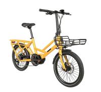China 20 Inch Retro Dual 250W Electric Cargo Bike 7 Speed 36V 7.8Ah Lithium Battery for sale