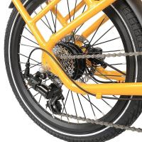 China 20 Inch Retro Dual 250W Electric Cargo Bike 7 Speed 36V 7.8Ah Lithium Battery for sale