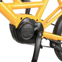China 20 Inch Retro Dual 250W Electric Cargo Bike 7 Speed 36V 7.8Ah Lithium Battery for sale