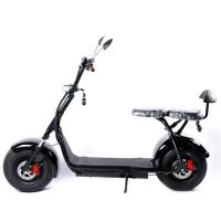 China 18 Inch Double Seat Electric Scooter 60V 1000W Motor with Backrest for Adult Mobility for sale