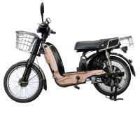 China 48V 500W Electric Hybrid Bike with Drum Brake and 135kg Load Capacity for sale