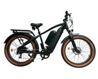 China 48V 1000W Electric Bike 26x4.0 Fat Tire Ebike 7 Speed Dual Battery 17.5Ah for Adults for sale