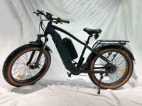 China 48V 1000W Electric Bike 26x4.0 Fat Tire Ebike 7 Speed Dual Battery 17.5Ah for Adults for sale