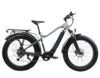 China 9 Speed Electric Bike 26x4.0 Fat Tire Ebike 48V 750W Bafang Motor Mountain Bike for Adults for sale