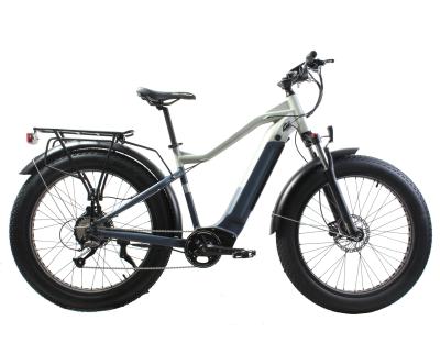 China 9 Speed Electric Bike 26x4.0 Fat Tire Ebike 48V 750W Bafang Motor Mountain Bike for Adults for sale