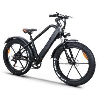 China 48V 350W Electric Mountain Bike 26x4.0 Fat Tire Ebike with 48V 10Ah Lithium Battery for sale