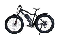 China Electric Mountain Bike 26 Inch Fat Tire 48V 750W Ebike Disc Brake Adults for sale