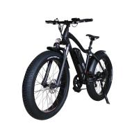 China Electric Mountain Bike 26 Inch Fat Tire 48V 750W Ebike Disc Brake Adults for sale