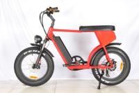 China 20 Inch Fat Tire Electric Mountain Bike 48V 500W Brushless Motor 48V 13Ah Lithium Battery for sale