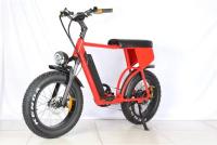 China 20 Inch Fat Tire Electric Mountain Bike 48V 500W Brushless Motor 48V 13Ah Lithium Battery for sale
