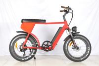 China 20 Inch Fat Tire Electric Mountain Bike 48V 500W Brushless Motor 48V 13Ah Lithium Battery for sale