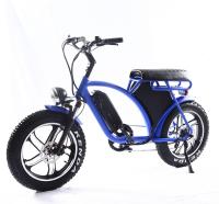 China 20 Inch Fat Tire Electric Bike 48V 1000W Front Suspension City E Bike with 13Ah Lithium Battery for sale
