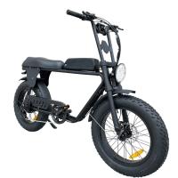 China Fat Tire 73 Electric City Bike 48V 500W 750W Motor 20x4.0 Fat Tires Front Suspension for sale