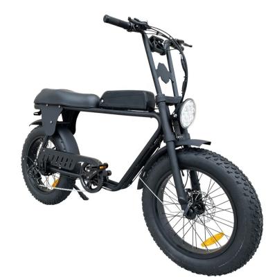 China Fat Tire 73 Electric City Bike 48V 500W 750W Motor 20x4.0 Fat Tires Front Suspension for sale