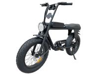 China Fat Tire 73 Electric City Bike 48V 500W 750W Motor 20x4.0 Fat Tires Front Suspension for sale