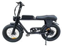 China Fat Tire 73 Electric City Bike 48V 500W 750W Motor 20x4.0 Fat Tires Front Suspension for sale