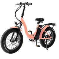 China 20 Inch 4.0 Fat Tire Foldable Electric Bike 36V 250W Motor City Ebike for Adults for sale