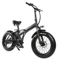 China Electric Folding City Bike 20 Inch Fat Tire Ebike 48V 500W 7 Speed Electric Bike for Adults for sale