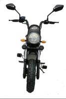 China Thunder Electric Dirt Bike 80/100-21 110/90-18 Brushless Motor Off-Road for Adults for sale