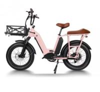 China Aluminum Frame Electric Cargo Bike 45km/h 50km Range Disc Brakes 150kg Capacity for sale