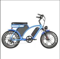 China Thunder Electric Hybrid Bike 36V 8Ah Lead Acid Battery 20 mph Rear Hub Motor Black for sale