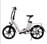 China Thunder Electric Folding Bike 20 inch 100kg Load Full Suspension Stainless Steel for sale