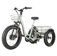 China Thunder Electric Bike 3 Wheel Electric Tricycle 48V 16AH Lithium Battery 25km/h for sale